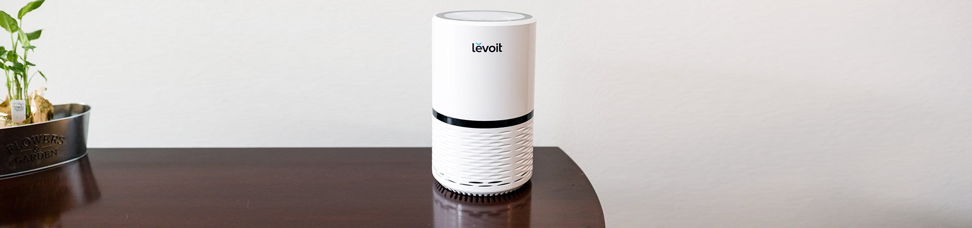 5 Best Small Air Purifiers Reviewed in Detail (Summer 2025)