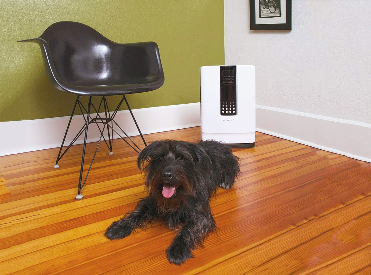 5 Best Basement Air Purifiers Reviewed in Detail (Winter 2024)
