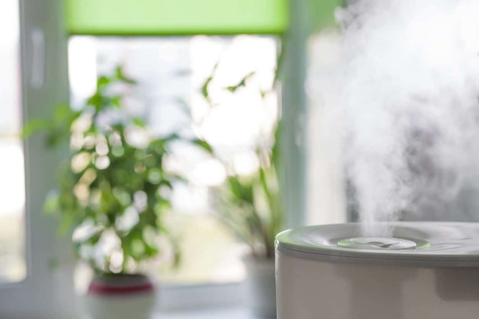 5 Best Steam Humidifiers Reviewed in Detail (Winter 2024)