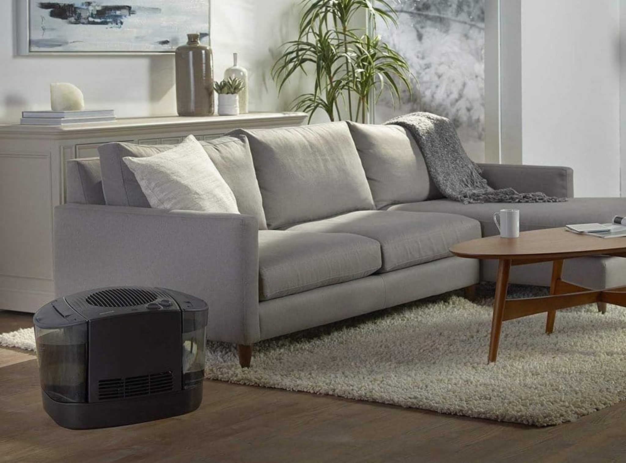 11 Best Whole House Humidifiers Reviewed in Detail (Winter 2024)