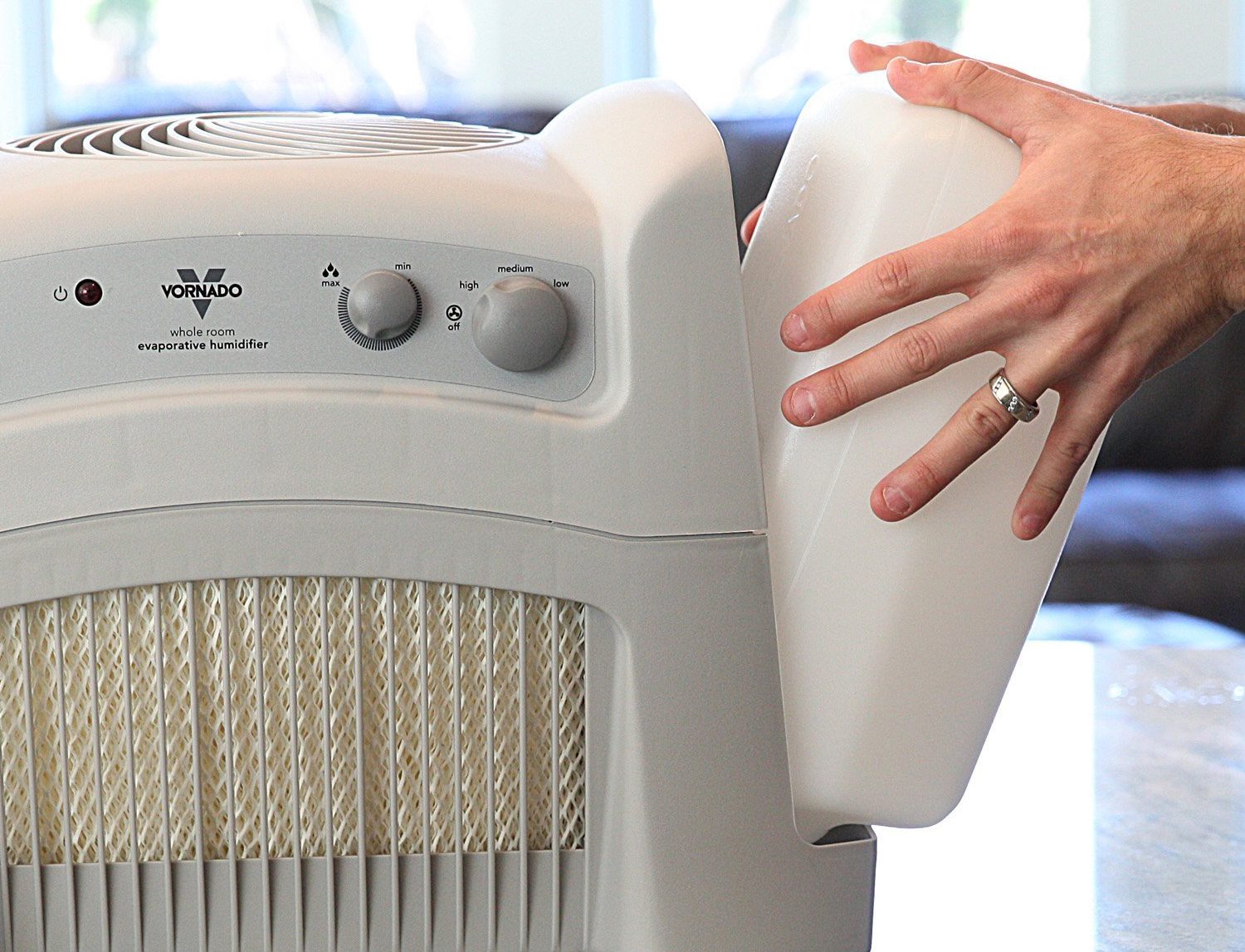 5 Best Evaporative Humidifiers Reviewed in Detail (Winter 2024)