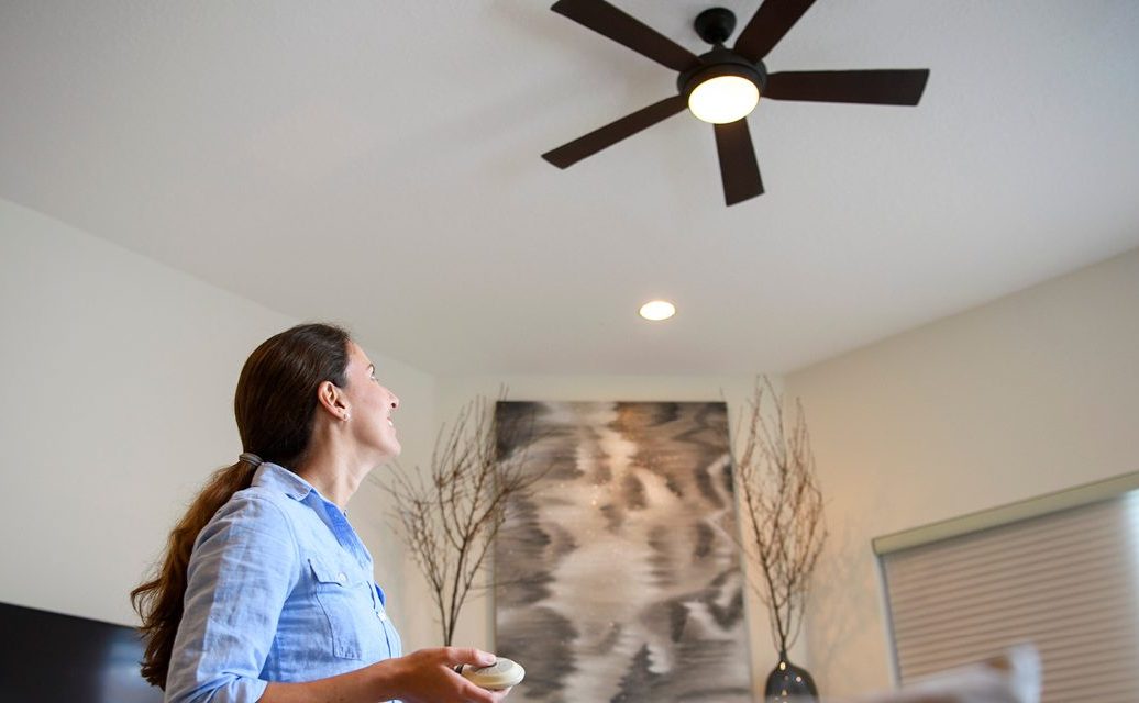8 Best Ceiling Fans (Fall 2023) – The Complete Guide