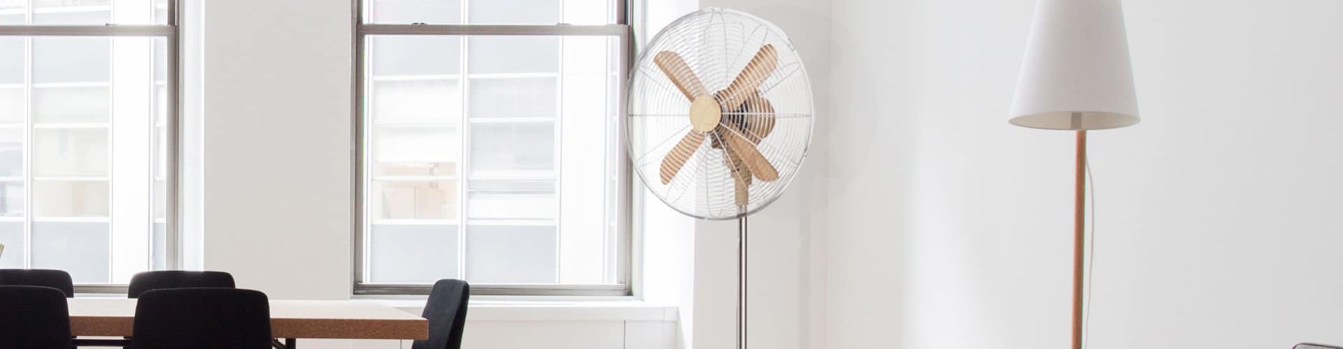 6 Best Pedestal Fans Reviewed in Detail (Summer 2025)