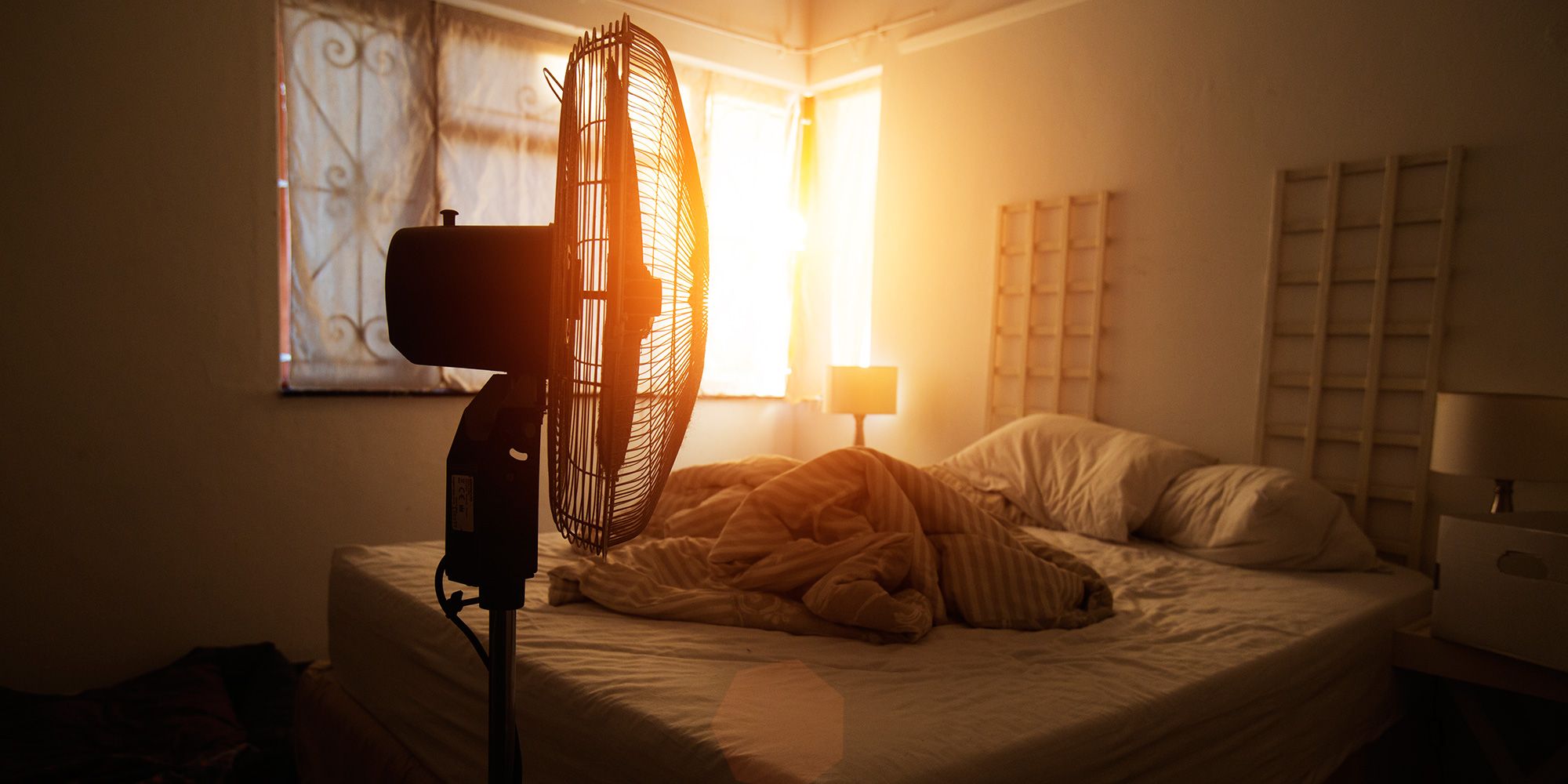 10 Best Floor Fans Reviewed in Detail (Spring 2023)