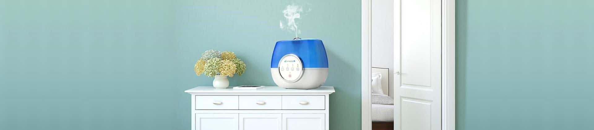 7 Best Ultrasonic Humidifiers Reviewed in Detail (Winter 2025)