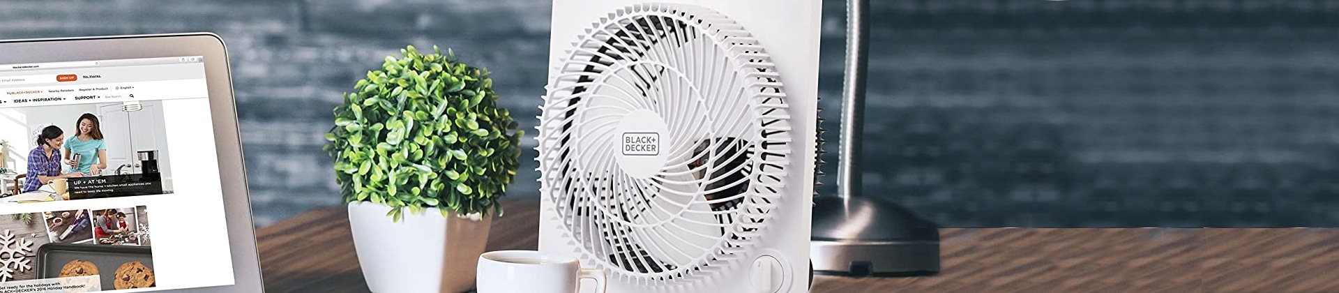 5 Best Box Fans Reviewed in Detail (Winter 2025)