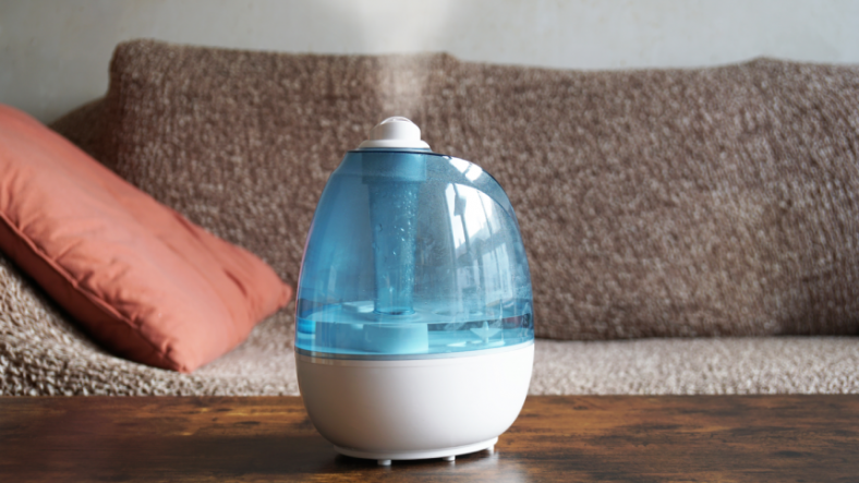Humidifier Vs Vaporizer: Which to Choose?