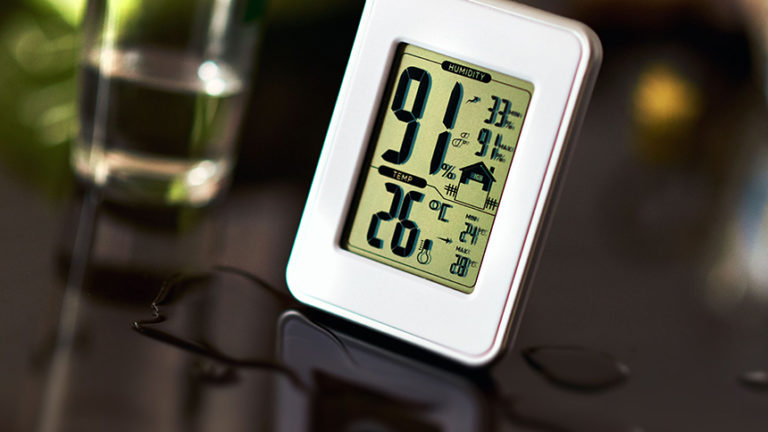How to Increase Humidity: 8 Tips and Humidity Basics